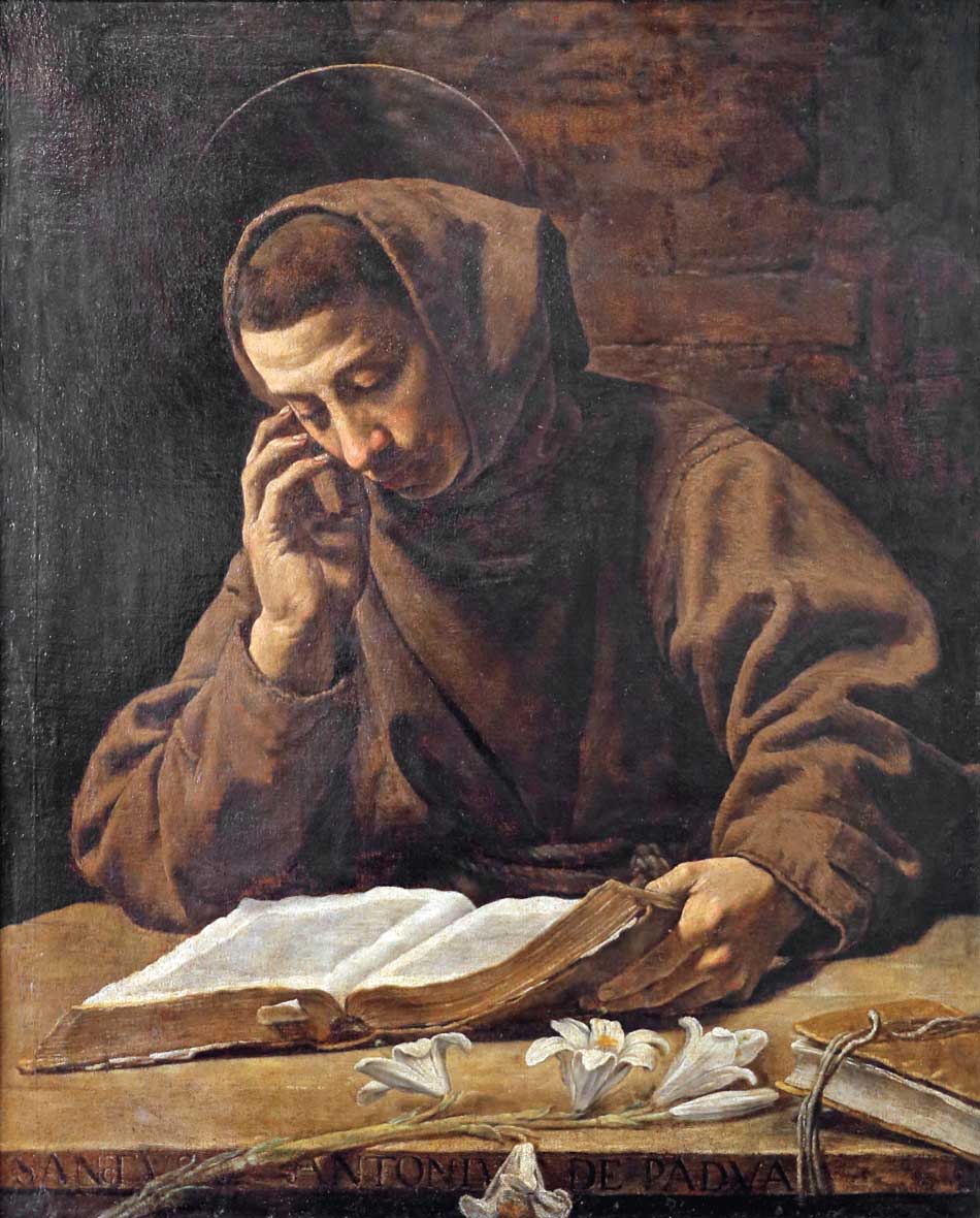 Bible Expert | Messenger of Saint Anthony