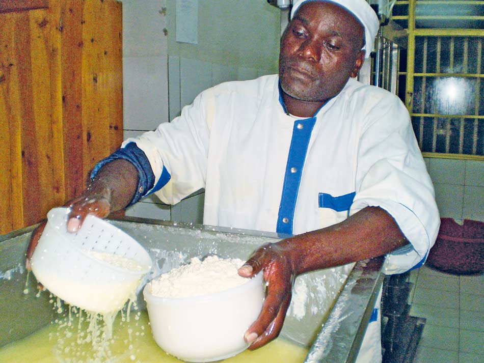 Cheese for Rwanda | Messenger of Saint Anthony