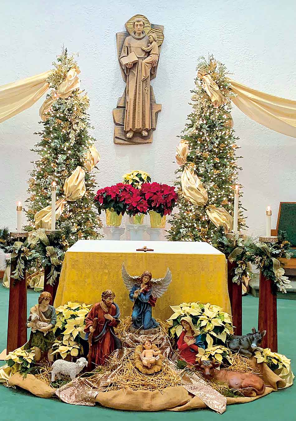 Holy Day | Messenger of Saint Anthony